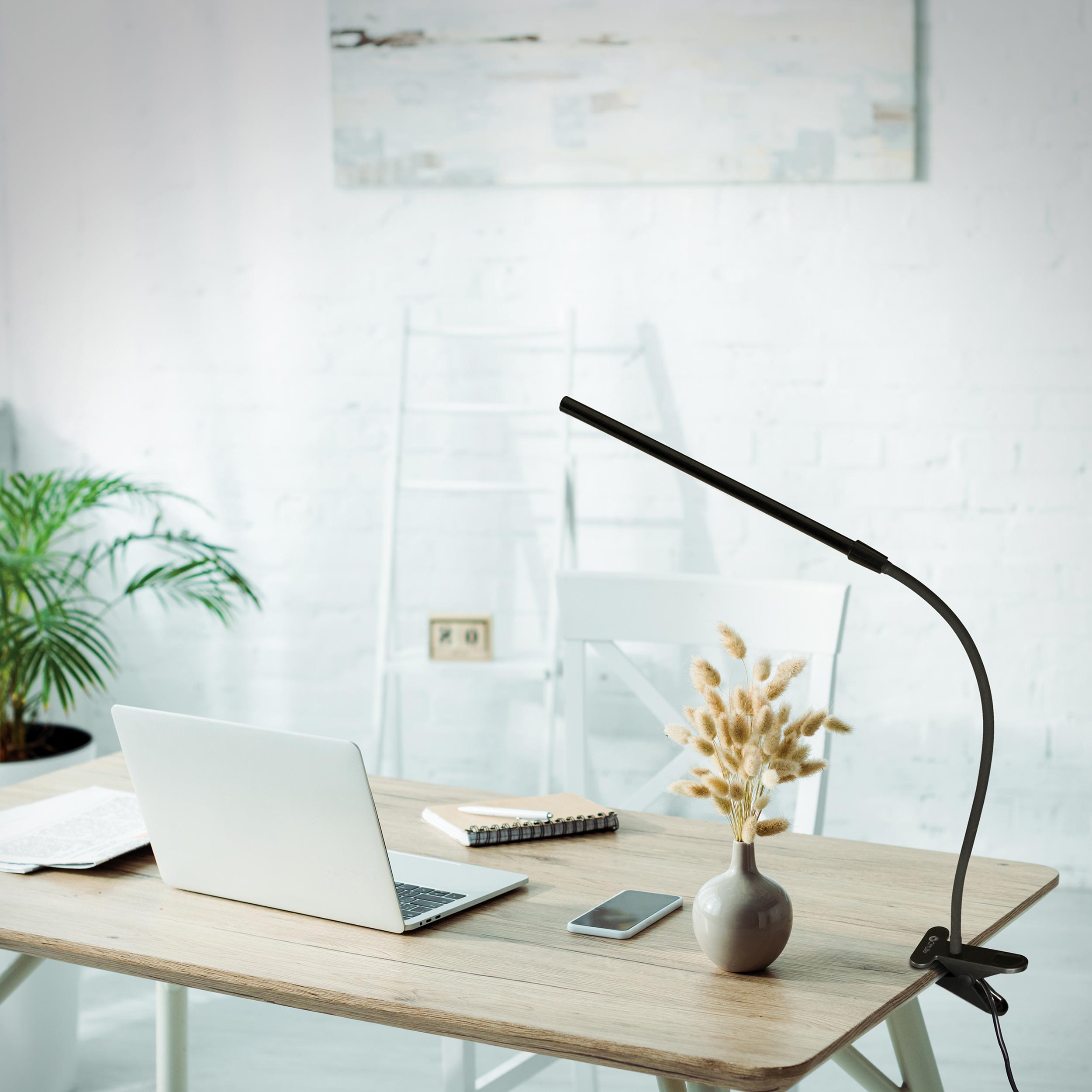 Clip and Clamp Lamps