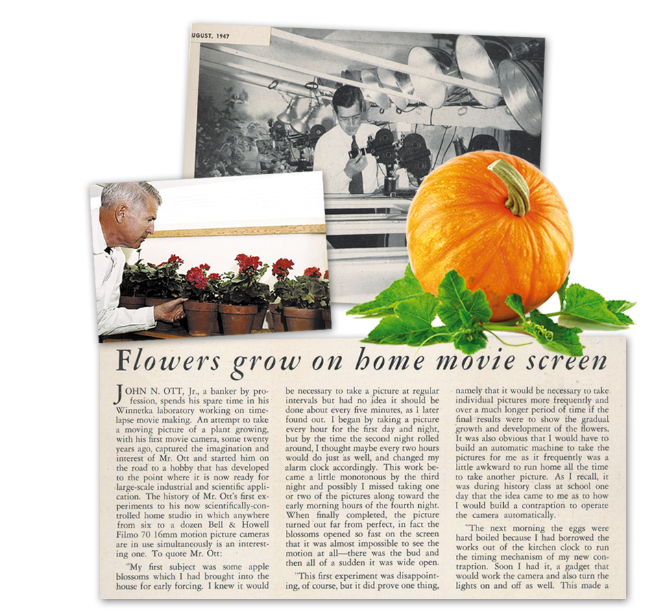 Dr. Ott The Original